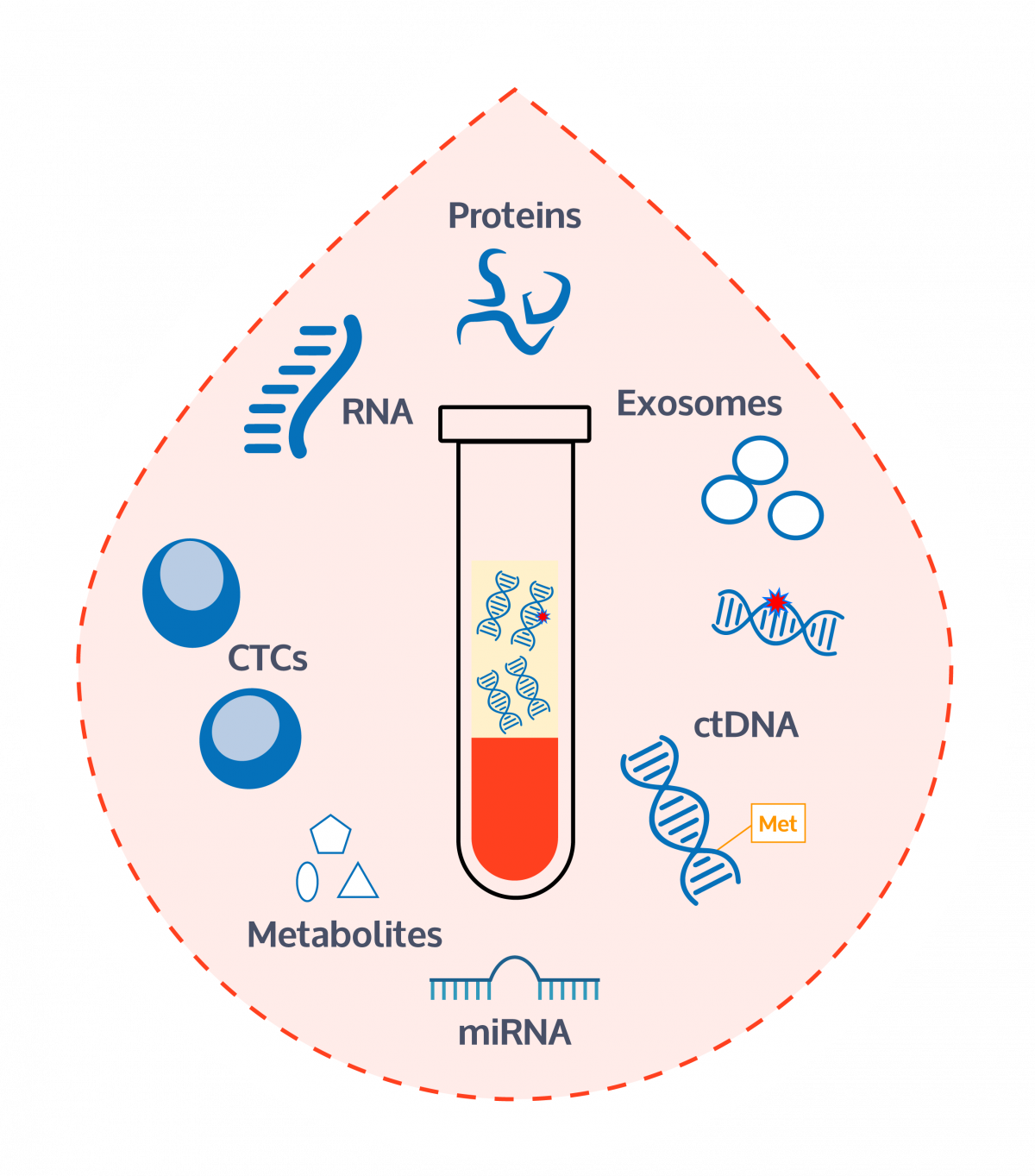 Biopsia Líquida – EOM